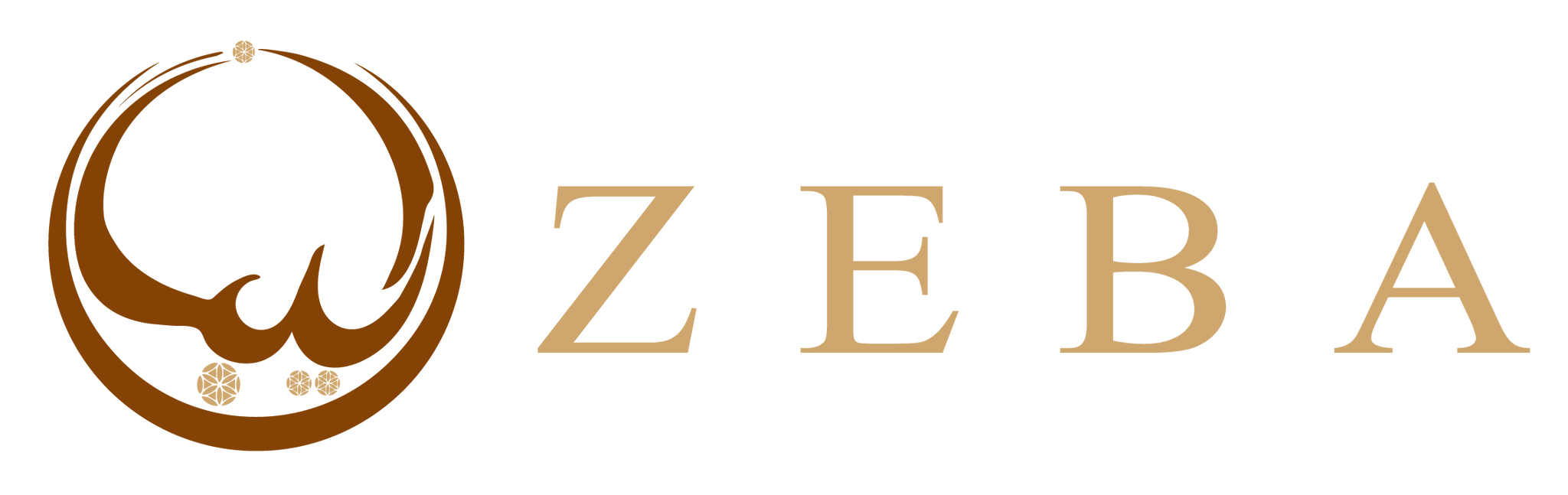 ABOUT – ZEBA Designs